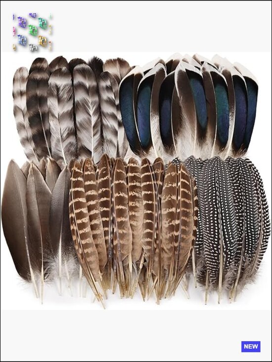 Other | Natural Pheasant Feathers 4pc Bulk Craft Supplies Diy Hat ...